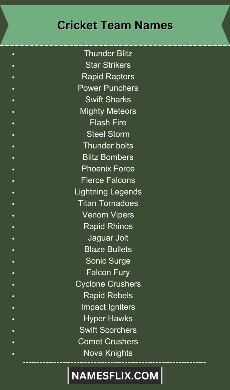 950+ Creative Cricket Team Names for Winning Matches