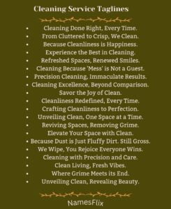 660+ Cool Cleaning Service Slogans & Taglines