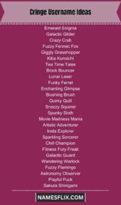 705+ Playful Cringe Usernames to Try Today