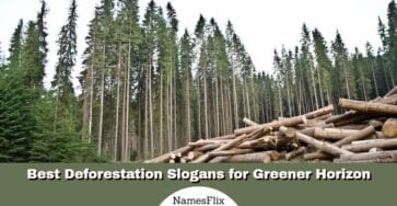 650+ Best Deforestation Slogans for Greener Horizon