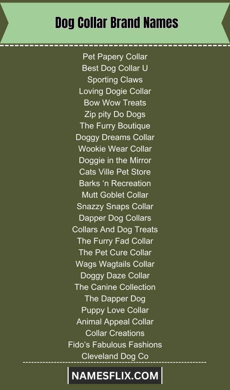 Dog Collar Business Names: 1000+ Playful Names Suggestions