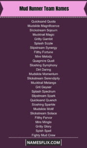 880+ Mud Run Team Names to Dominate the Muddy Challenge