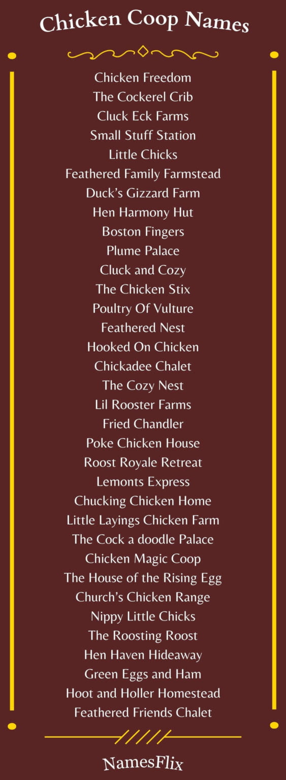 950+ Best Chicken Coop Names to Create a Feathered Paradise