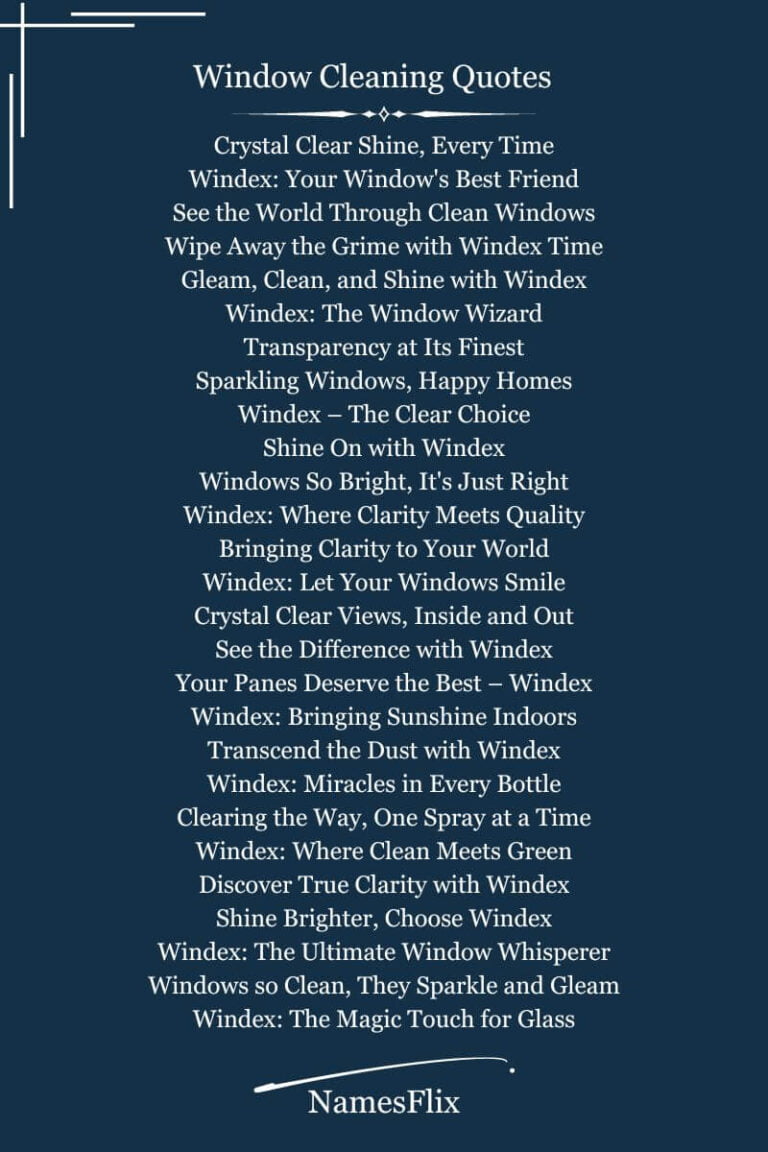 590+ Best Window Cleaning Slogans & Taglines Ideas