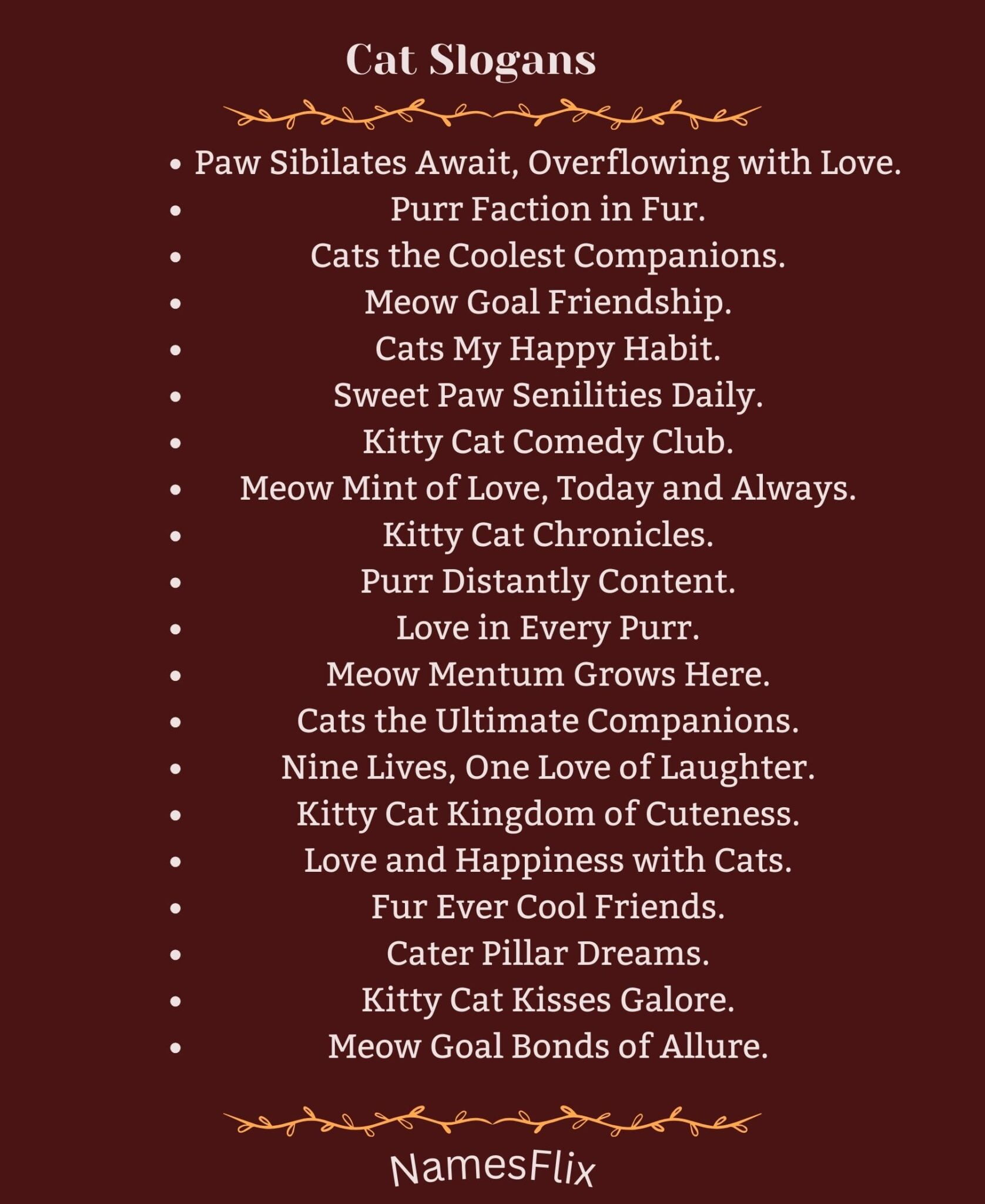 713+ Cute Cat Slogans, Sayings & Taglines Ideas