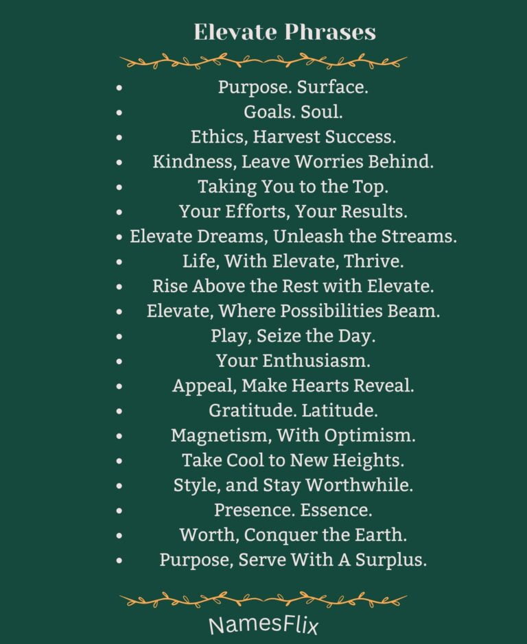 550+ Elevate Slogans and Phrases That Soar to New Heights