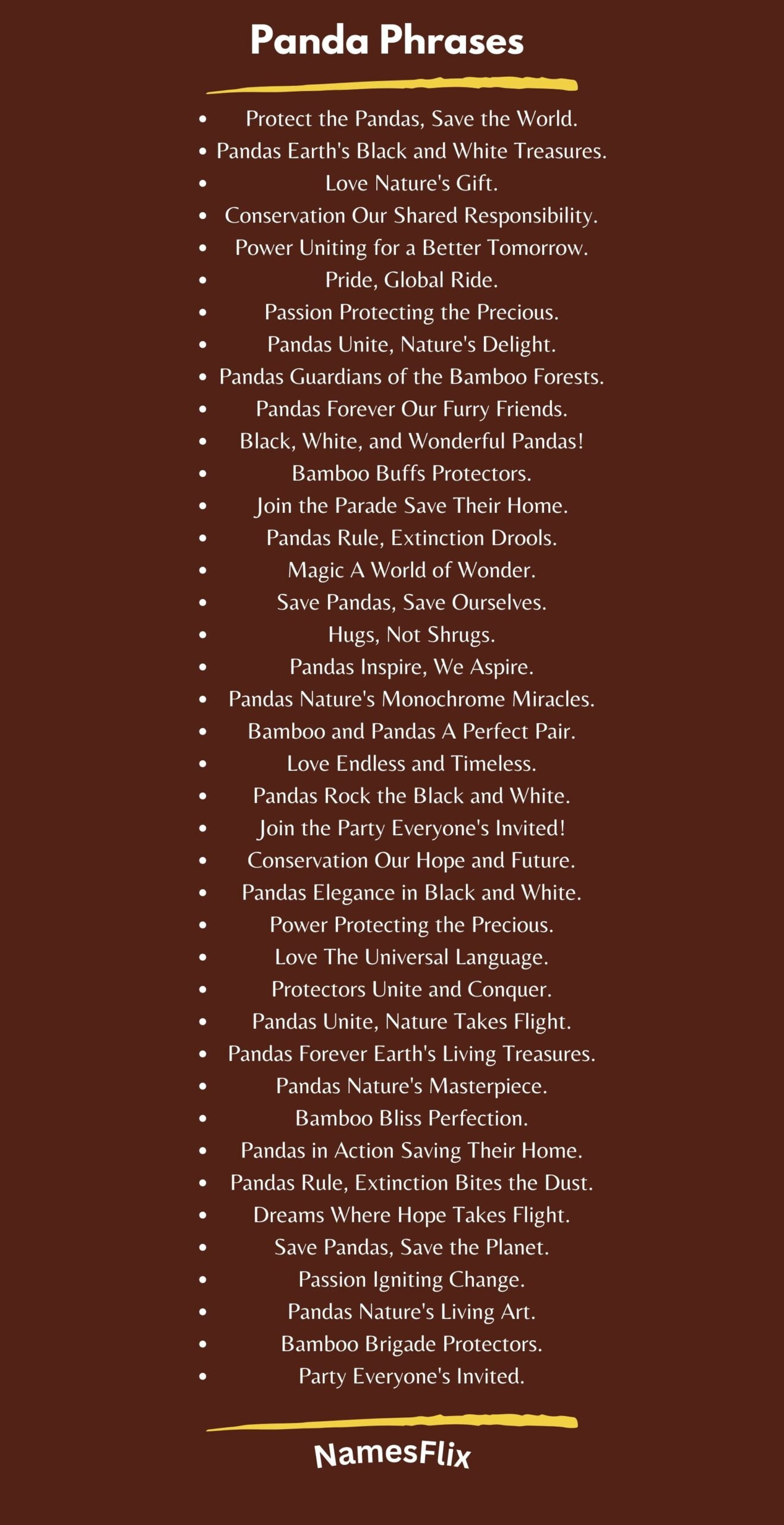 615+ Panda Slogans That Discover the Habitats of Pandas