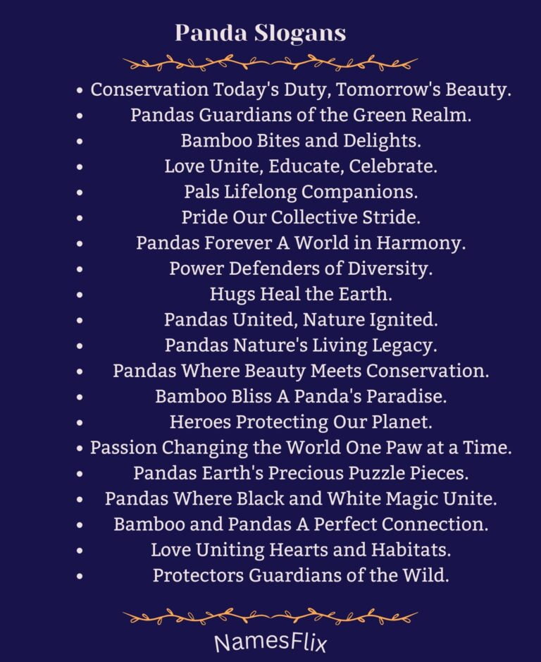 615+ Panda Slogans That Discover the Habitats of Pandas