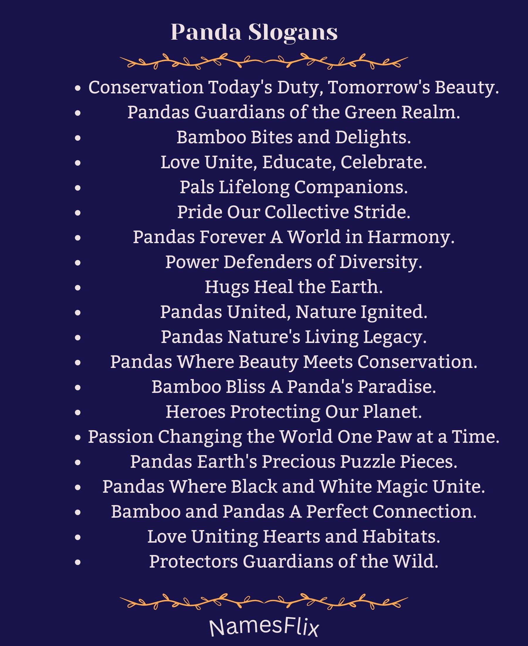 615+ Panda Slogans That Discover the Habitats of Pandas