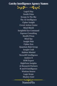 1050+ Intelligence Agency Names Ideas for the Modern Spy World