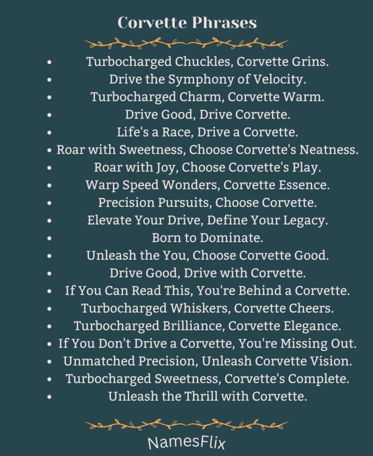 505+ Cool Corvette Slogans, Sayings & Taglines Ideas