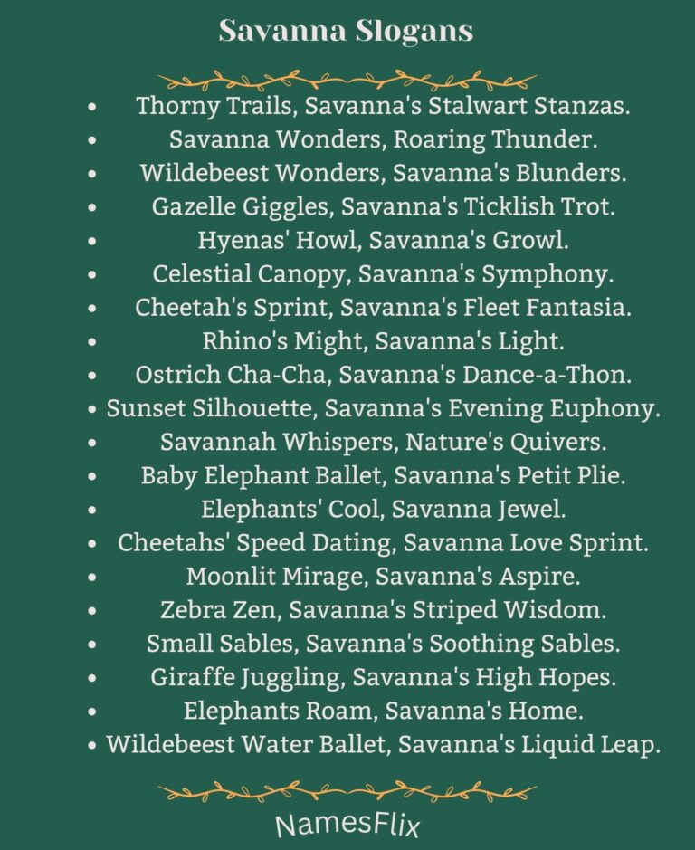 510+ Cool Savanna Slogans & Taglines for Nature's Canvas