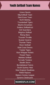 890+ Upbeat Softball Team Names Ideas for That Positive Vibe
