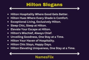 550+ Catchy Hilton Slogans That Harmonies Brand and Message