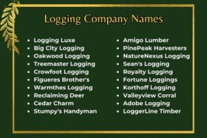 800+ Logging Business Names to Build a Woodland Empire